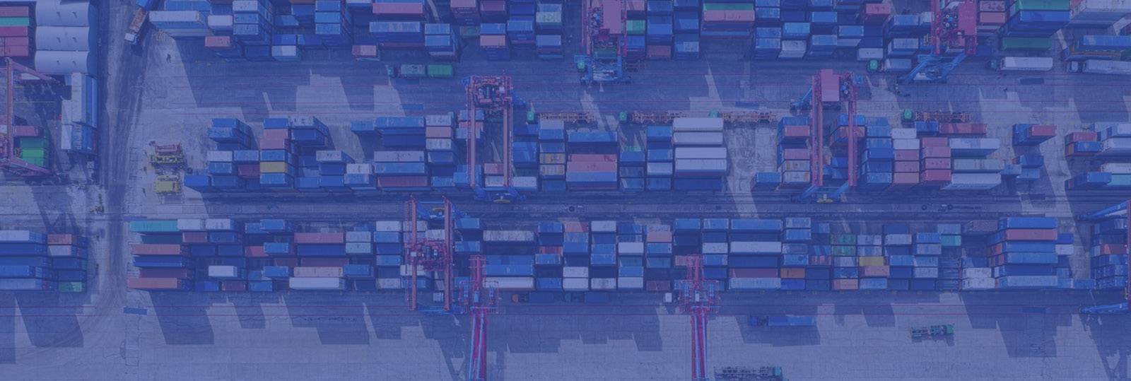 About - SCAN Association